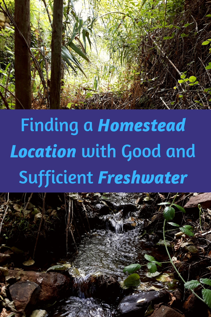 Finding A Homestead Location with Good and Sufficient Fresh Water