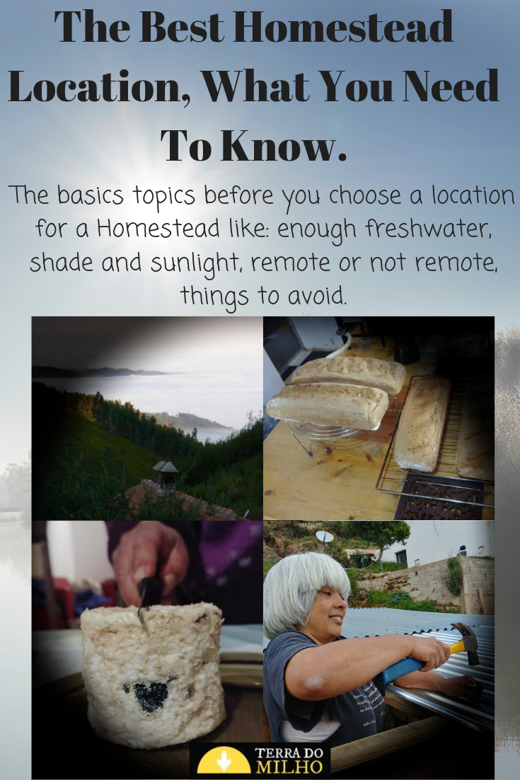 The Best Homestead Location, what you need to know. - Terra do Milho